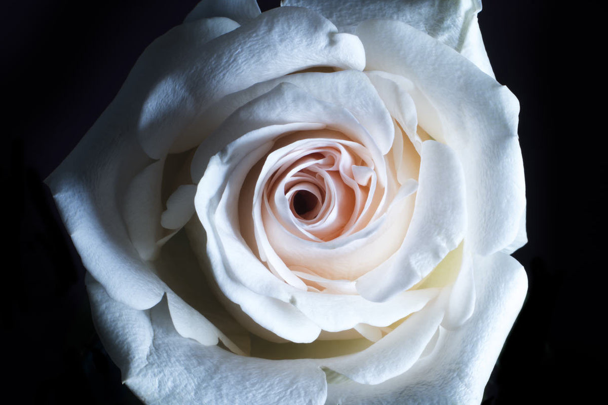 Signature Skin Treatments – Simply Pure Skin Studio